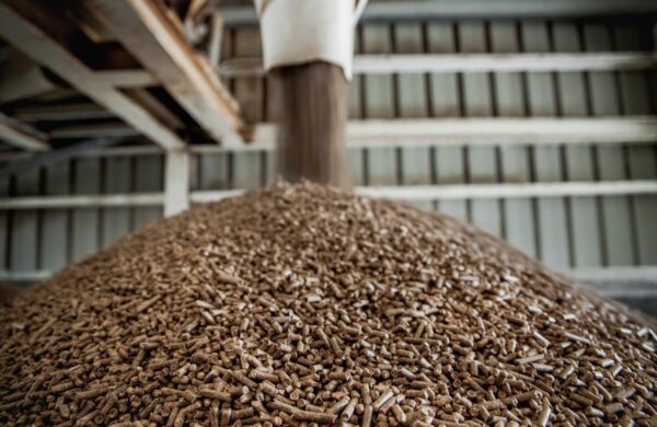 Pellets: Qué son, Usos, Ventajas y Sostenibilidad